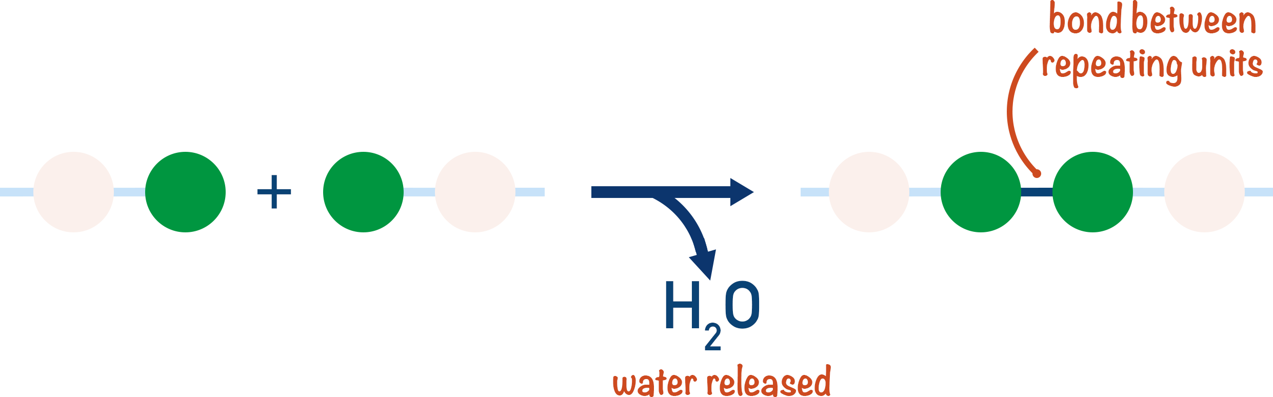 Condensation Polymerisation A Level ChemistryStudent